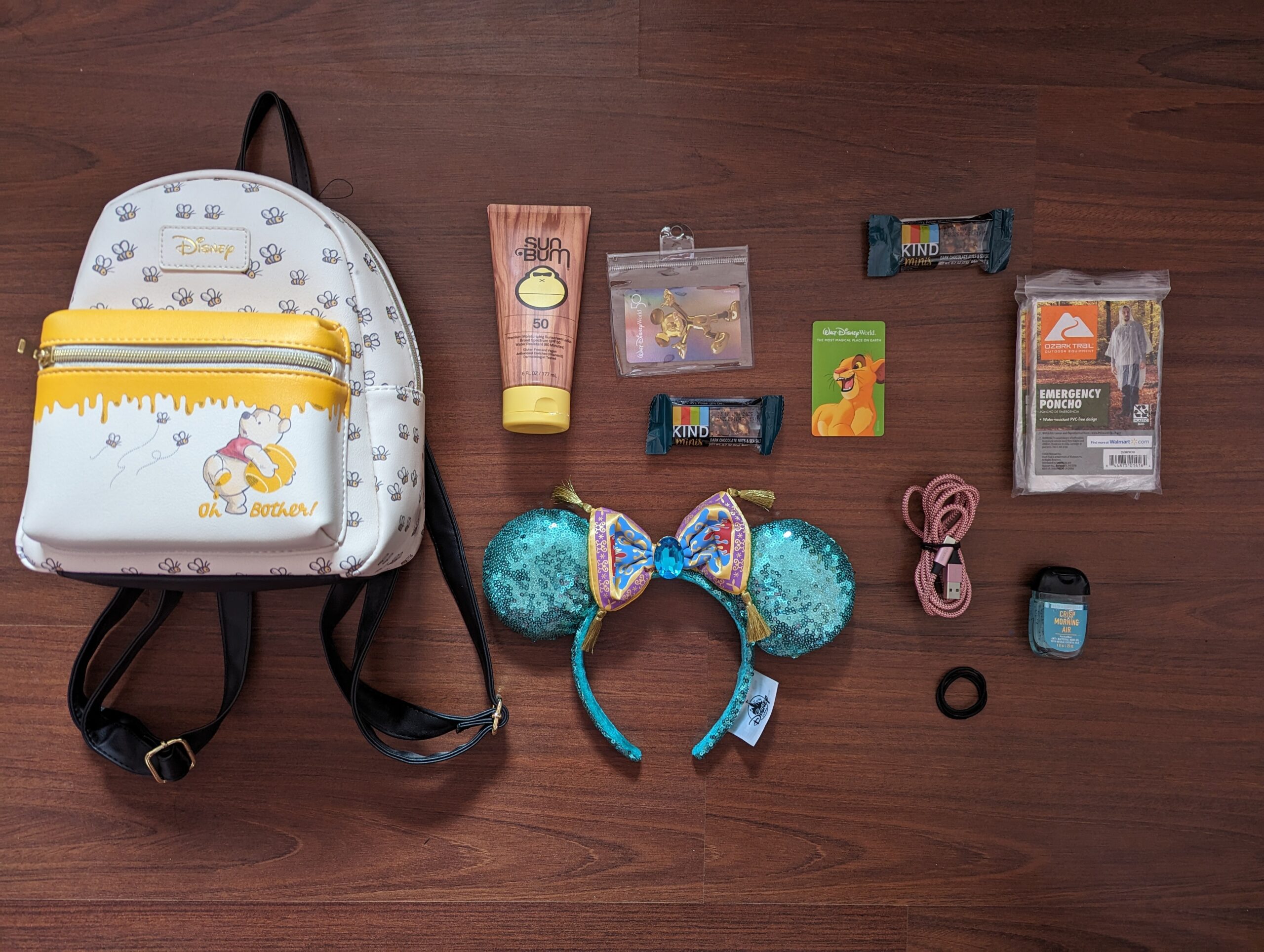 What to Pack in Your Disney Bag - Ondina's Odyssey